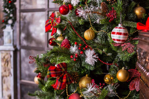 The Meaning of the Christmas Tree - Catholic Mass Times