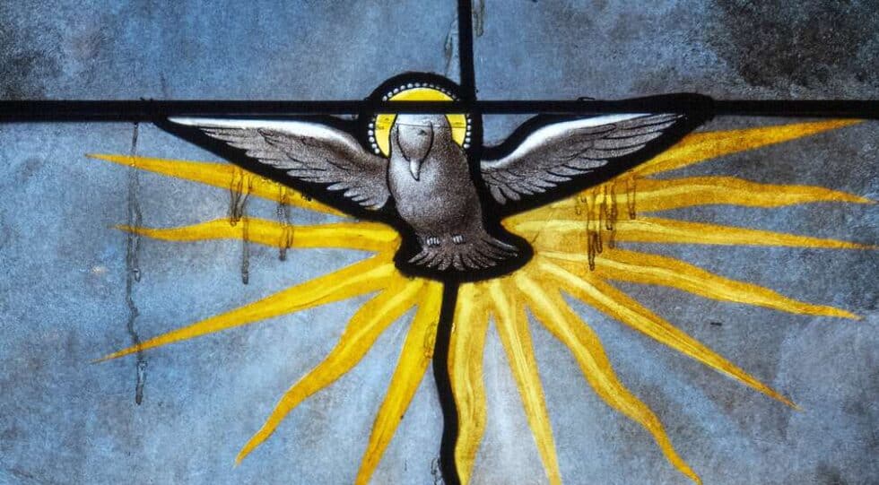 The 12 Fruits of the Holy Spirit - Catholic Mass Times